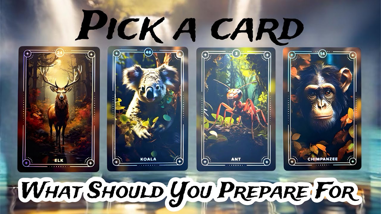 🦋What Should You Prepare For 🦋 PICK A CARD TAROT general reading #tarot ...