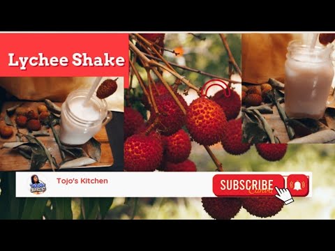 LYCHEE MILKSHAKE || LYCHEE SMOOTHIE || SUMMER SPECIAL MILKSHAKE || TOJO ...
