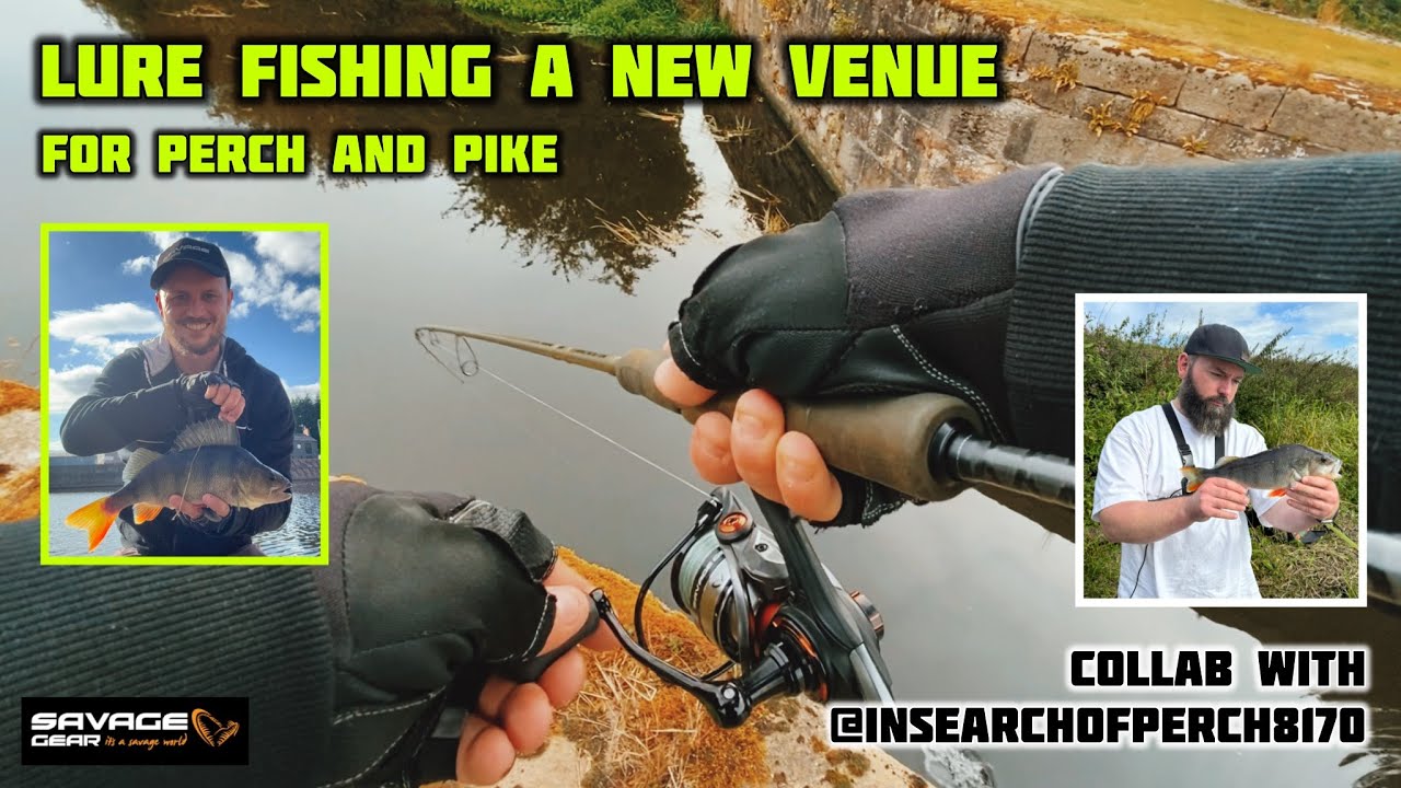 LURE FISHING A NEW VENUE! For PERCH and PIKE! Collaboration with @insearchofperch8170 - YouTube