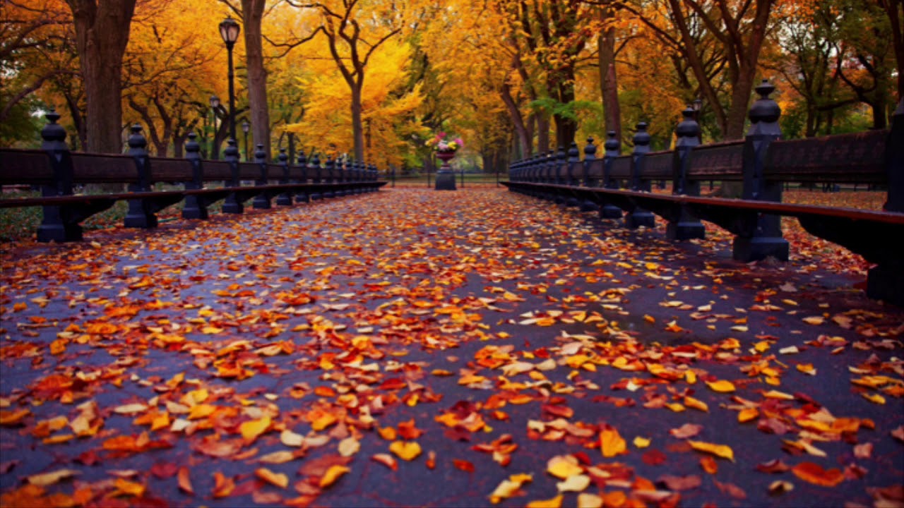 *New* Cool, Chill, Calming Autumn Jazz | 2020 - YouTube
