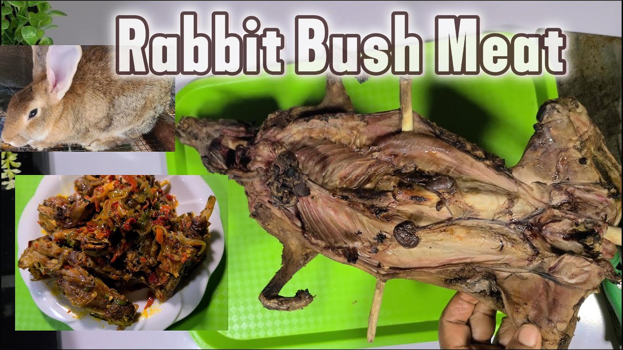 Rabbit Bush Meat Recipe - YouTube