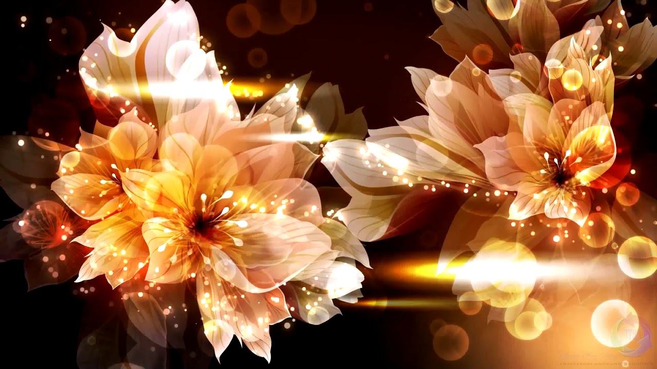 Background LED flower wedding - YouTube