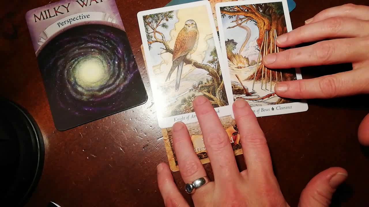 Pick a Reading - Autumn Equinox: What can You Harvest? - YouTube