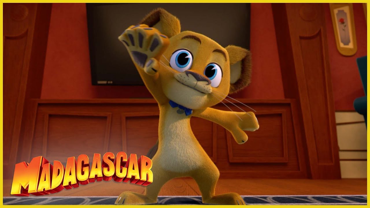 Alex ama las bañeras | DreamWorks Madagascar en Español Latino - YouTube