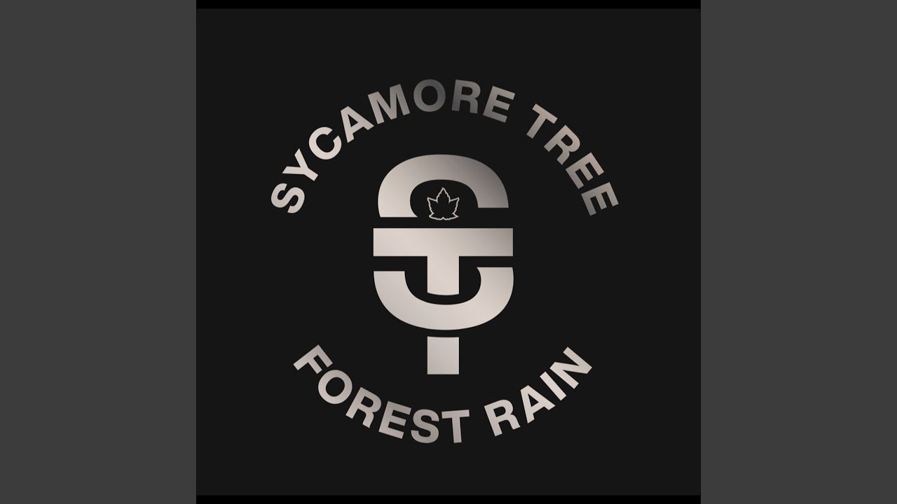 Sycamore Tree - Forest Rain Chords - Chordify