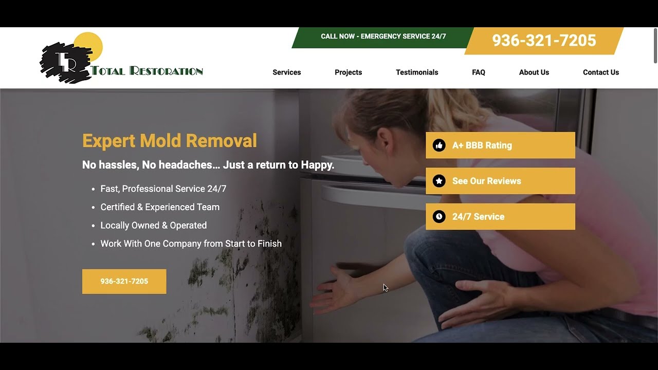 Mold Removal Website Design - YouTube