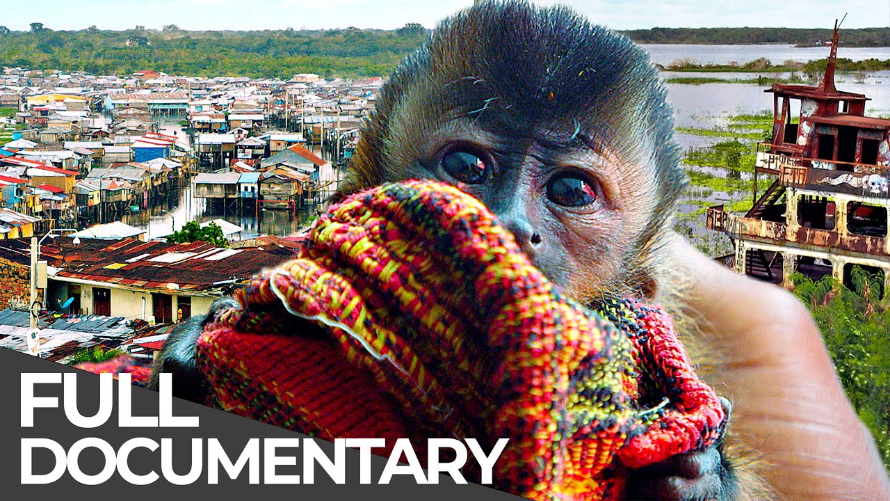 Peru's Animal Smugglers and Venezuela's Drug Crisis | Unreported World ...