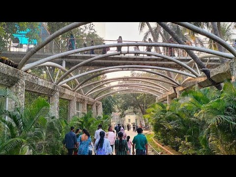 Kavati Bag: The Invention That Could Save Your Life - YouTube