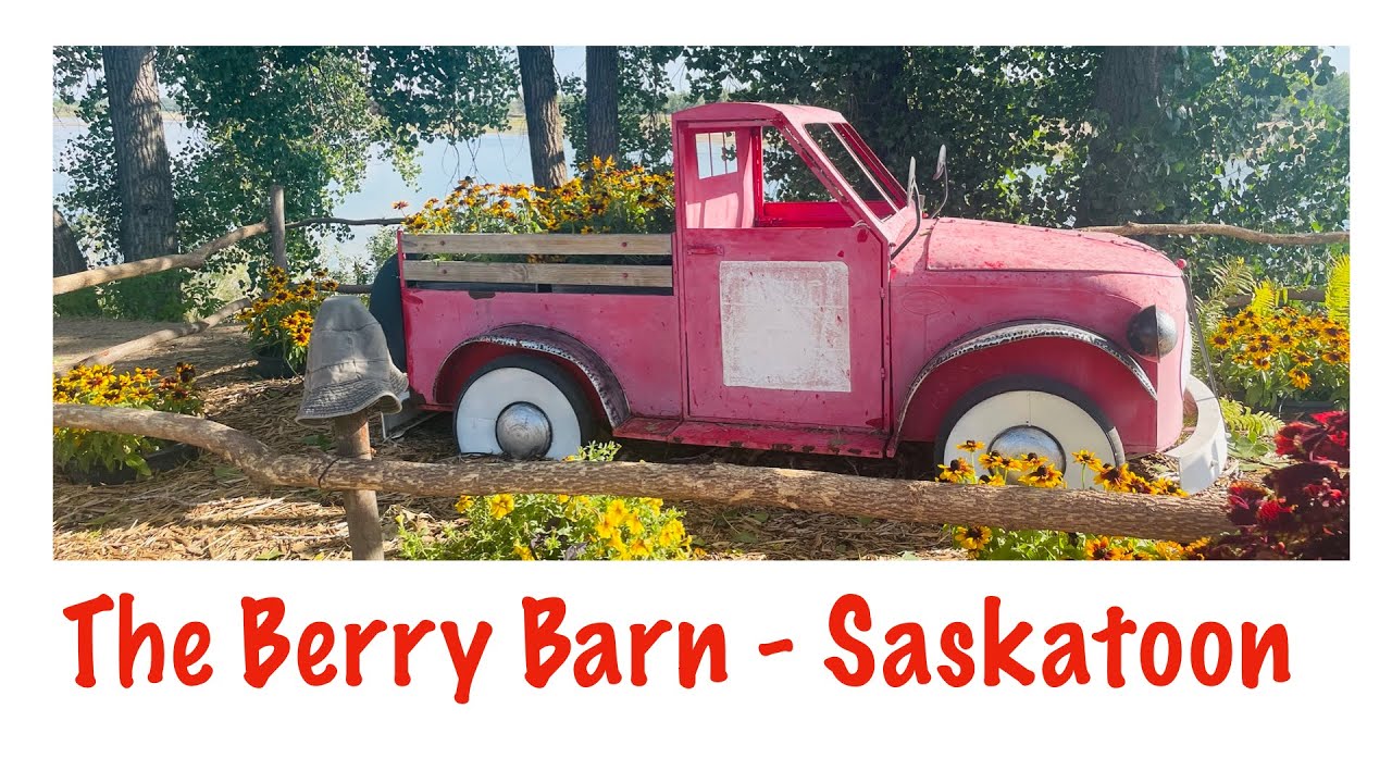 The Berry Barn & The Saskatoon Berry Pie - YouTube