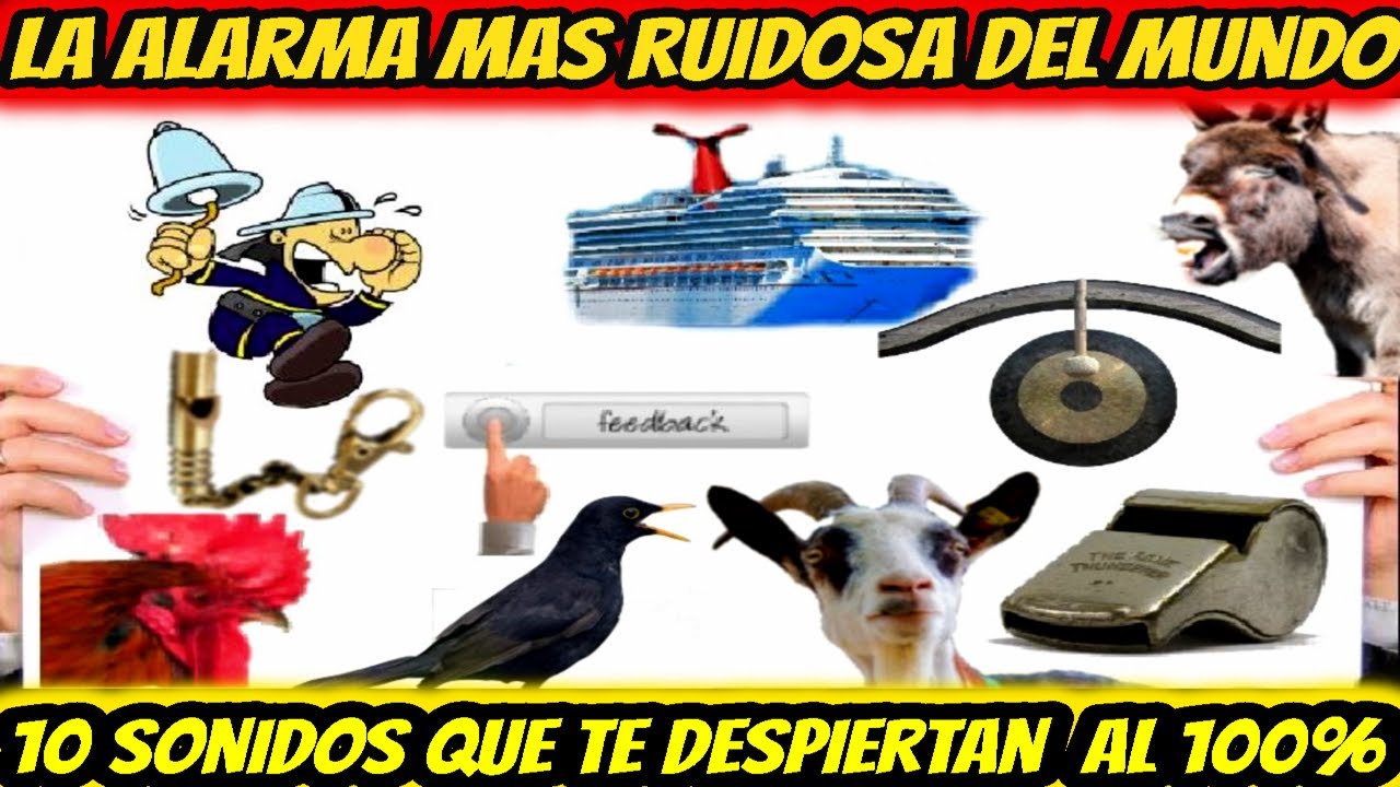 Sonido Alarma Despertador FUERTE - Efecto de Sonido - YouTube