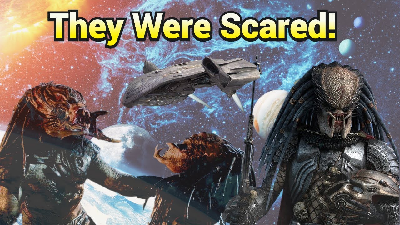 The Predator All Predators Fear -The Berserker Predator - YouTube