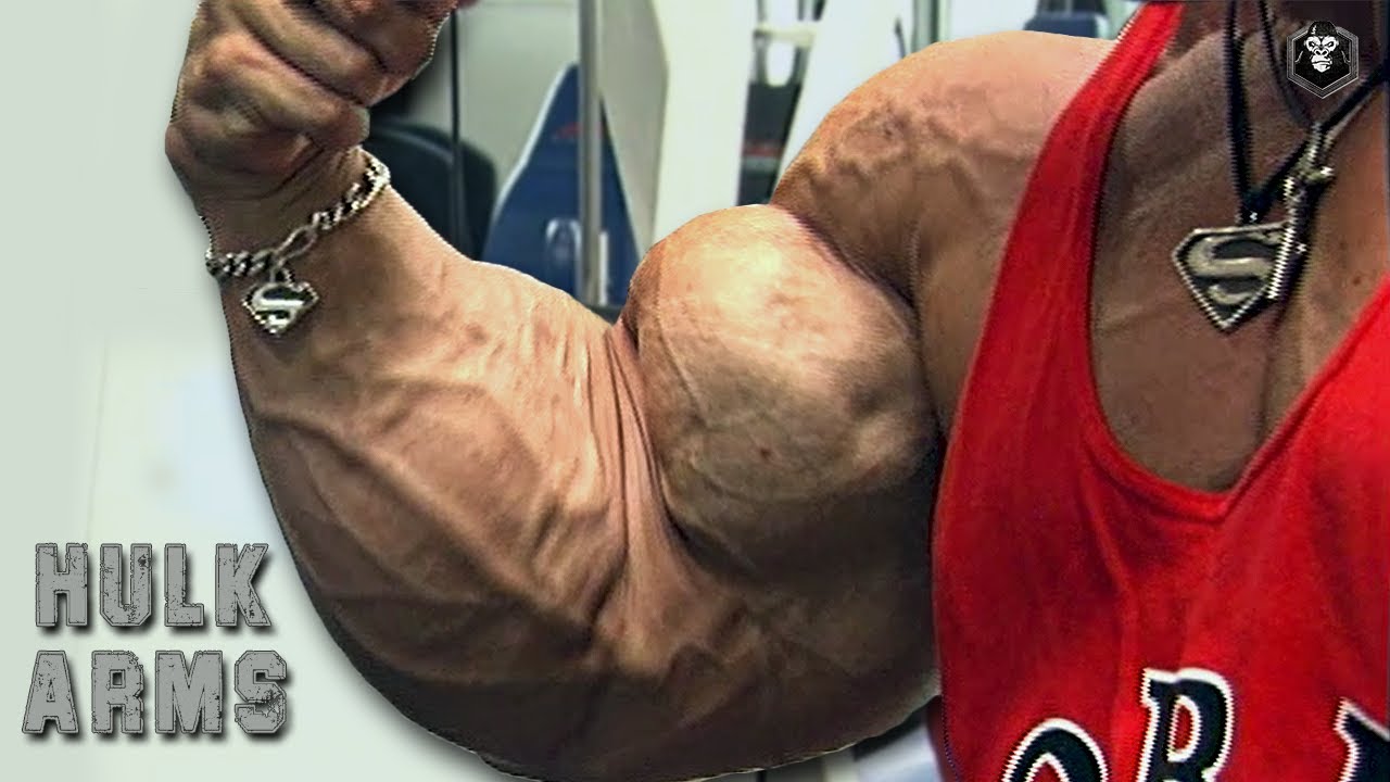 HULK ARMS ️‍- MAKE BICEPS AND TRICEPS BIGGER - EXTREME ️ARM DAY ...