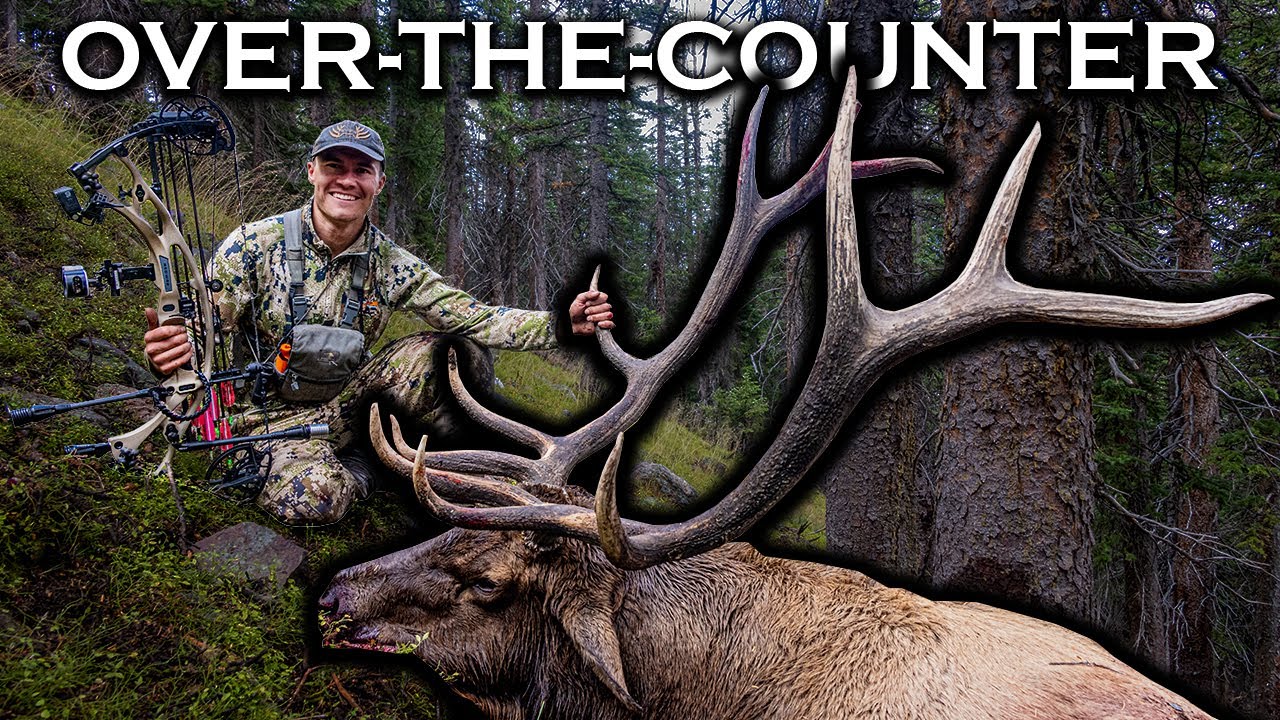 COLORADO BULL with a BOW! (12 Miles DEEP Solo on PUBLIC LAND) - YouTube