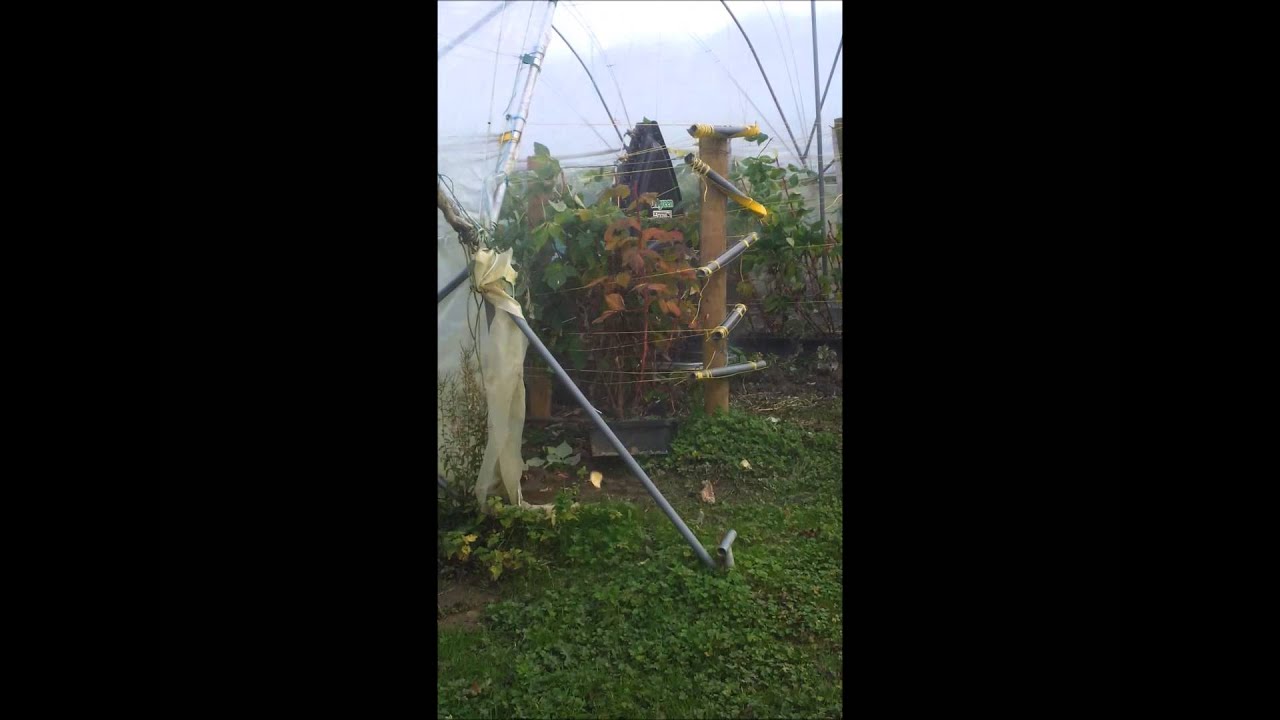 BCS Valiant & Unigreen sprayer - YouTube