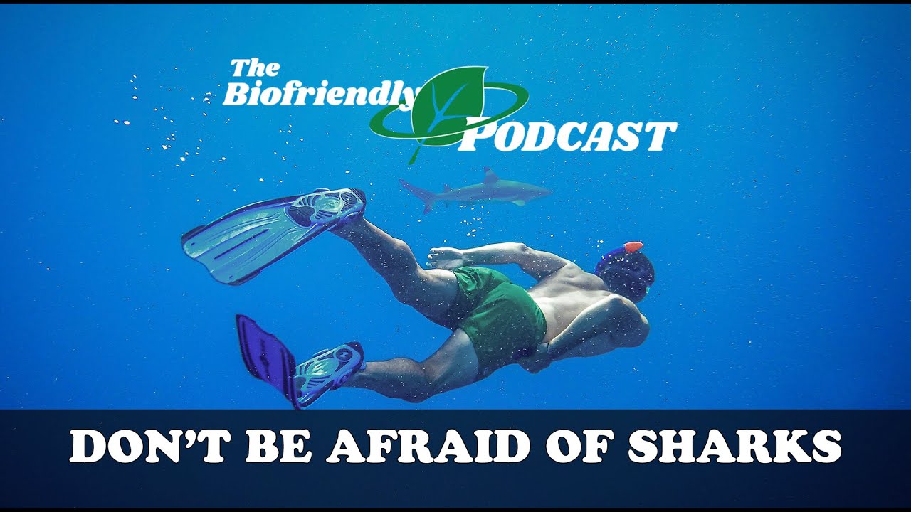 Don't Be Afraid of Sharks - Episode 224 | The Biofriendly Podcast - YouTube
