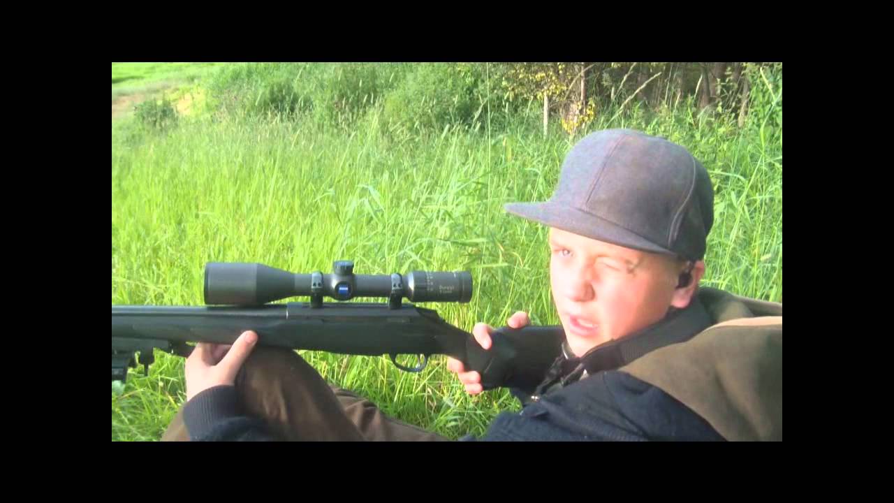 Roe deer hunting / Rådyrjakt - Norway - YouTube