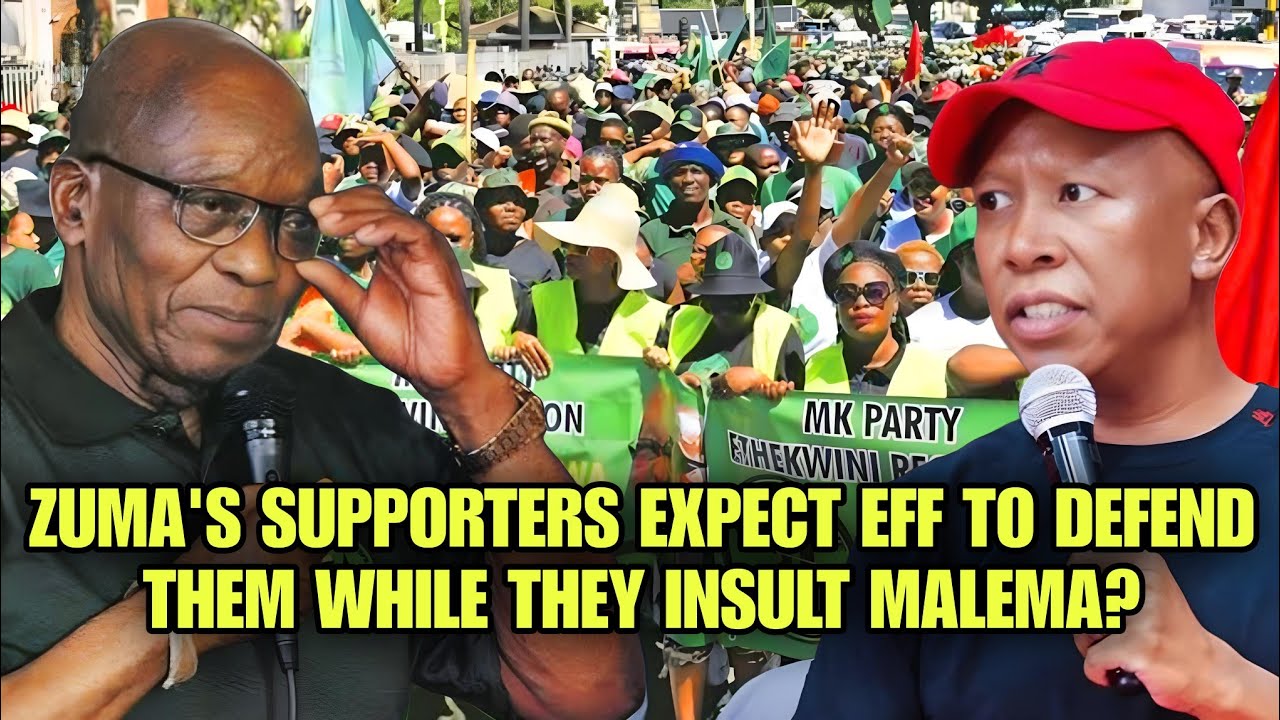 Zuma's Supporters Expect EFF To Defend Them While They Insult Malema ...