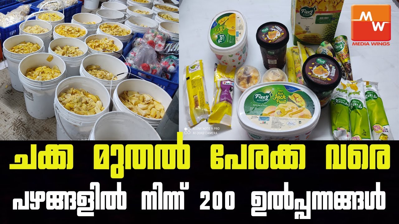 JACK PRODUCTS | ചക്ക മുതൽ പേരക്ക വരെ പഴങ്ങളിൽ നിന്ന് 200 ഉൽപ്പന്നങ്ങ ...
