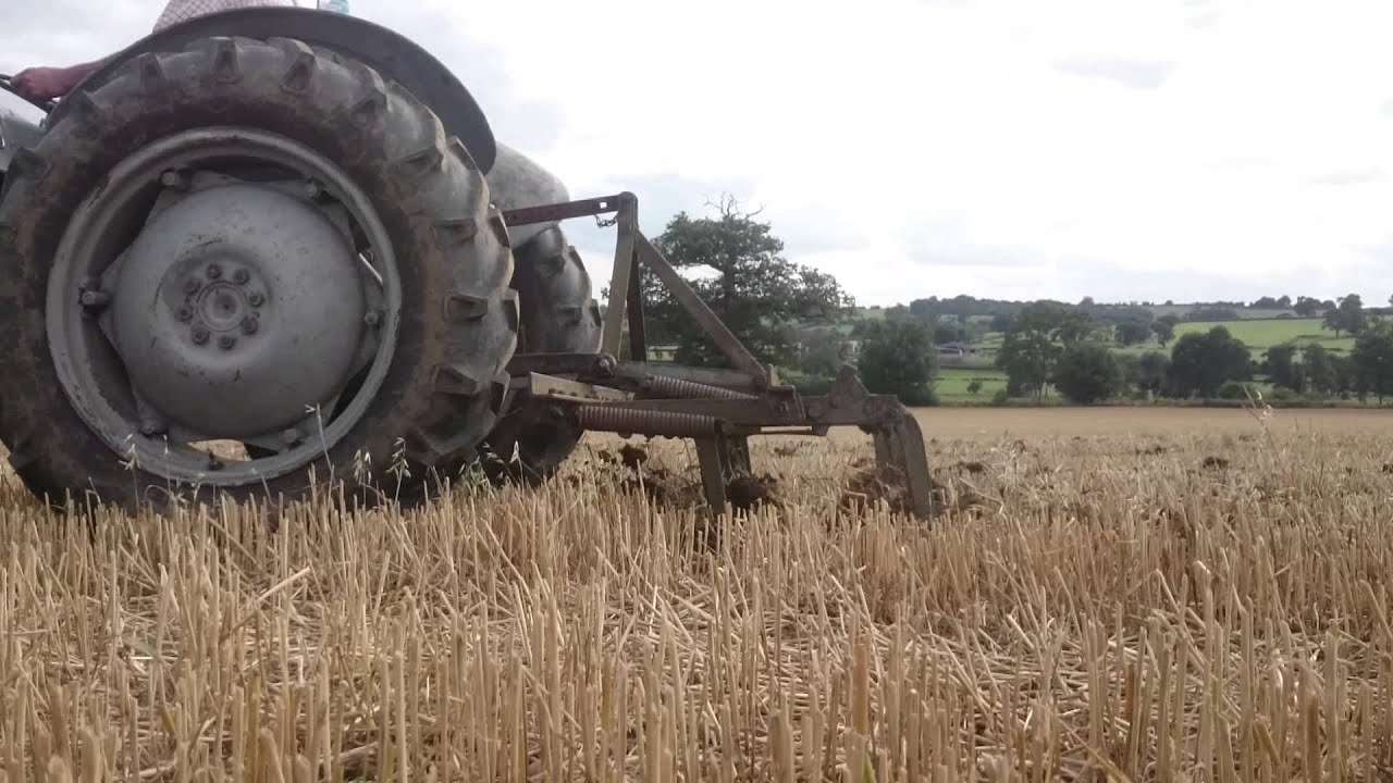 Ferguson Tractor (TE20) and Tiller cultivating stubble. - YouTube