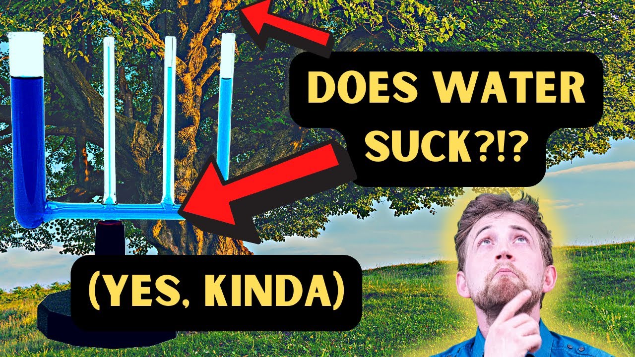 Capillary Action demo and science experiments! - YouTube