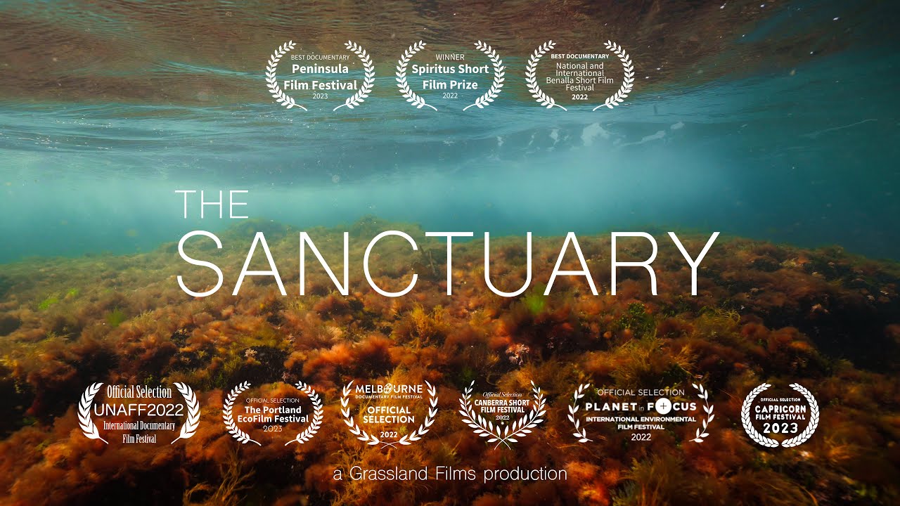 The Sanctuary (2022) - Award-winning Short Documentary - YouTube