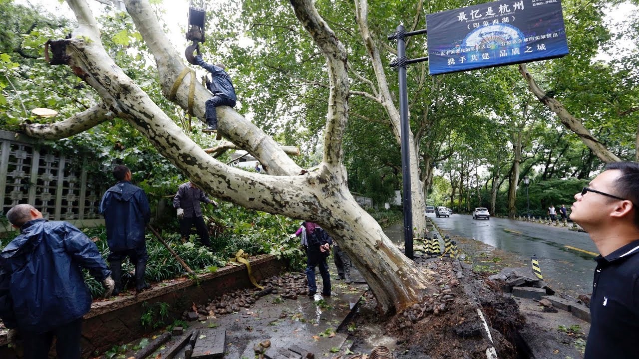 Typhoon Yagi hits east China’s Zhejiang Province - YouTube