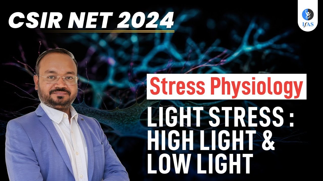 Light stress: High light & Low Light | Stress Physiology | Target CSIR ...