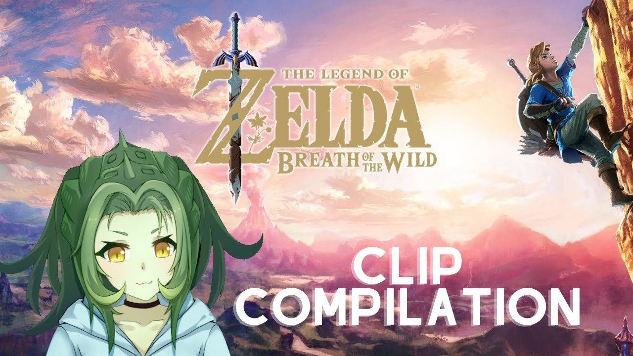 Epic gamer moments [BotW Clip Compilation] - YouTube