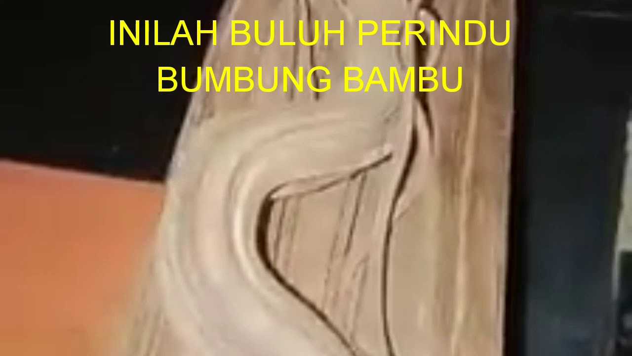 INILAH BULUH PERINDU BUMBUNG BAMBU - YouTube