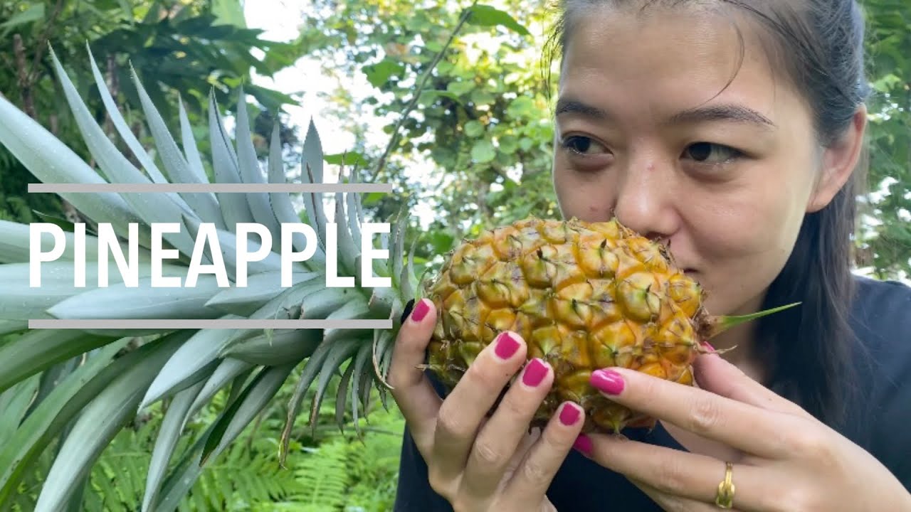 Village girl trying exotic recipes from pineapple 🍍 - YouTube