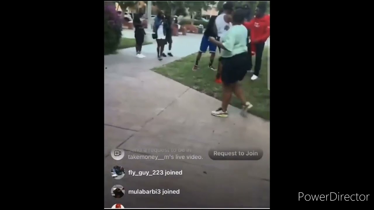 P4K ( BABY STONE GORILLAS ) FRIENDLY FADE IN THE JUNGLES!!! BPS FADE ...