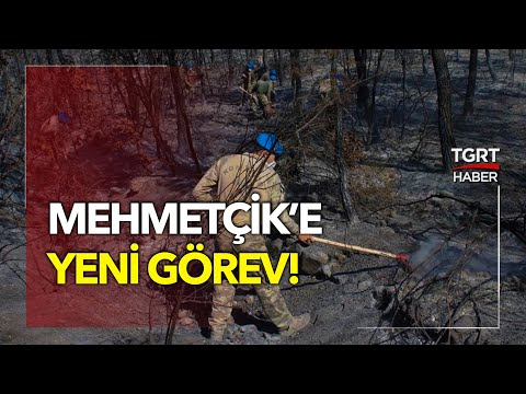 TSK’da Yeni Dönem: Mehmetçik Doğanın da Koruyucusu Olacak