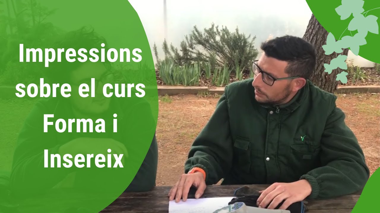 🌱 Impressions sobre el curs Forma i Insereix - YouTube