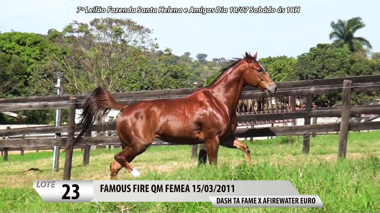 LOTE 23 - FAMOUS FIRE - YouTube