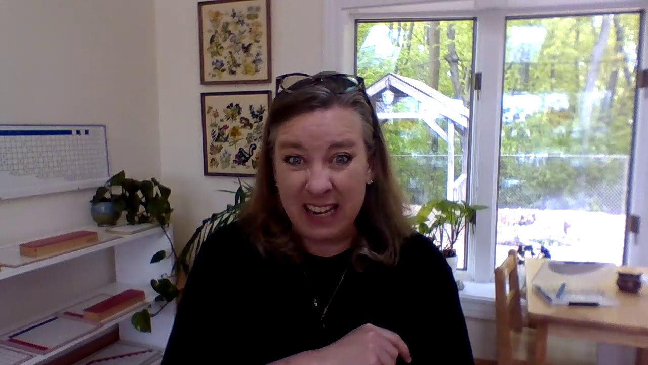 The Robins in your Backyard by Nancy Carol Willis - YouTube