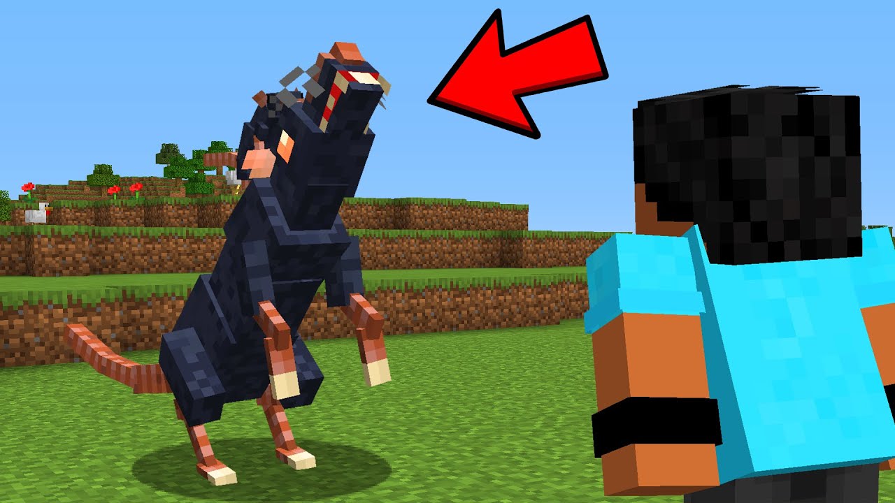 CONTRATEI UM SUPER RATO PARA ME PROTEGER - YouTube