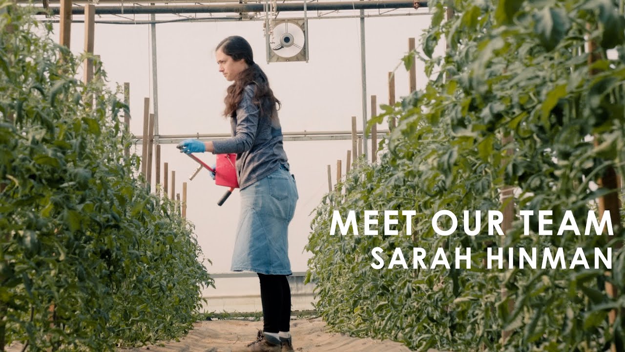 Meet The Team: Sarah Hinman - YouTube