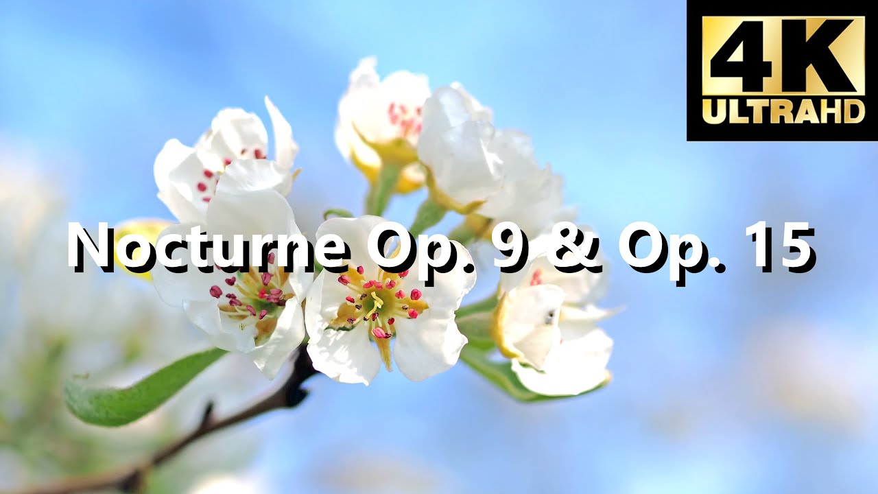 The Best of Chopin / 4K Nature Video Ultra HD (Spring Flowers) - YouTube