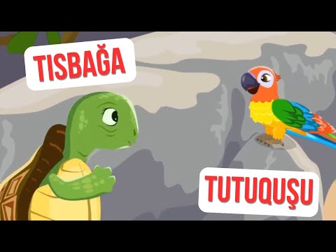 Tutuqusu ve Yalanci Tisbaga (Nagil Zamani)