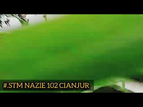 Stm Nazie mantek stekmal - YouTube