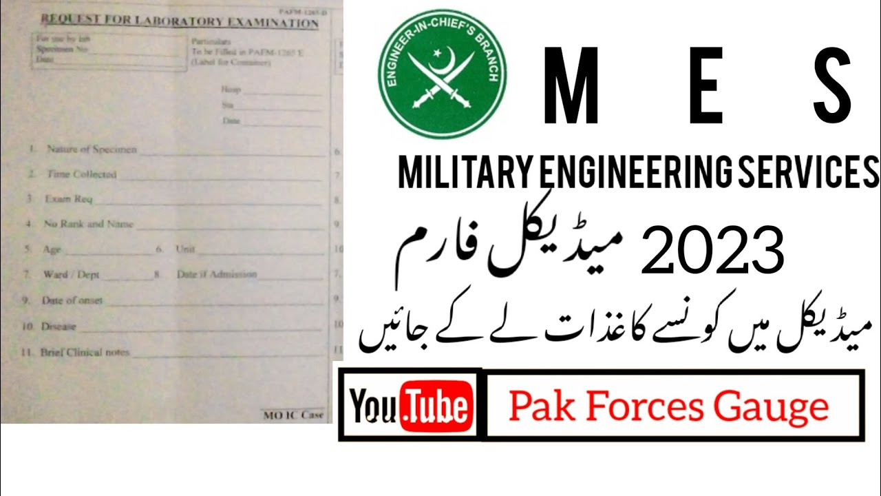 MES Medical 2023 For All Posts | Pak Forces Gauge - YouTube