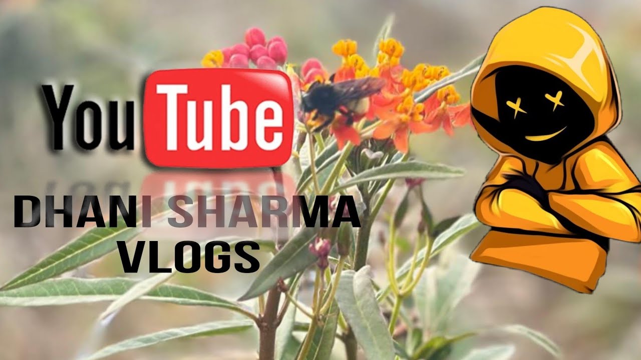 Dhani sharma vlogs is live! - YouTube
