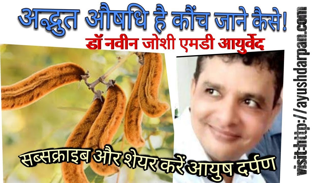 Medicinal importance of Kaunch/mucuna pruriens/ velvet bean/Cowhage ...