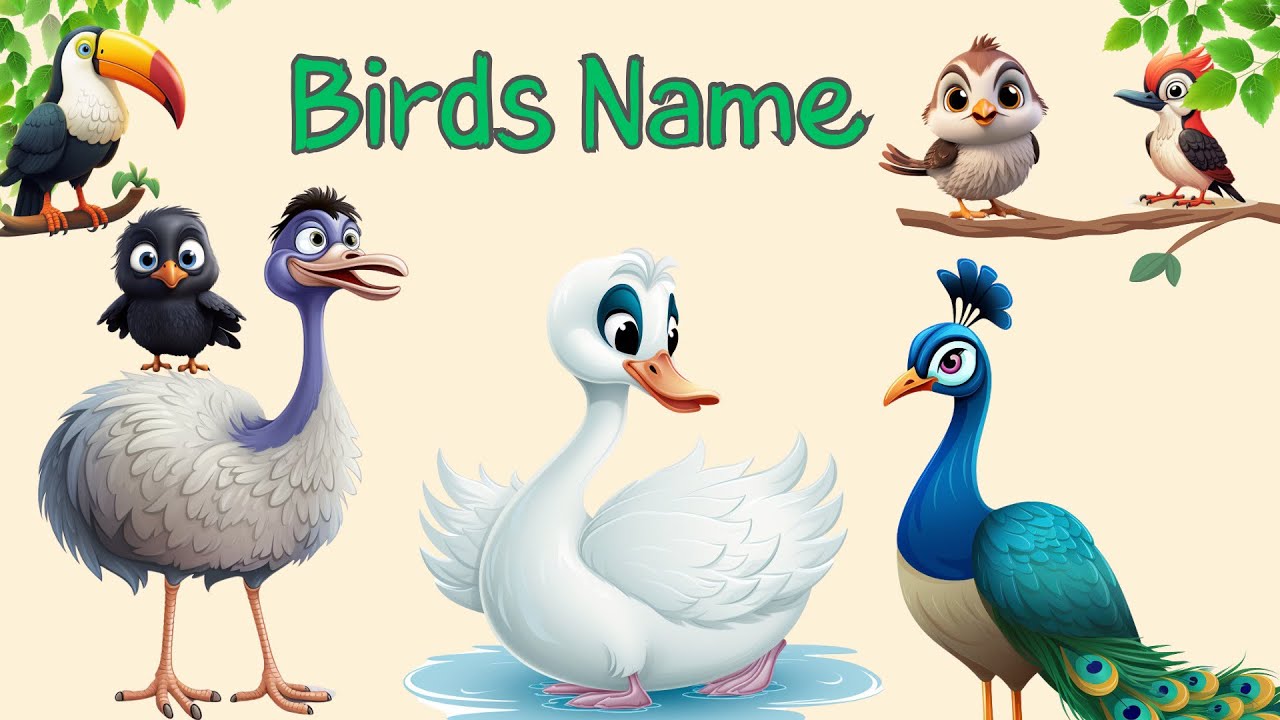 Birds Name for kids l birds for kids learning | Eagle | pigeon | parrot ...