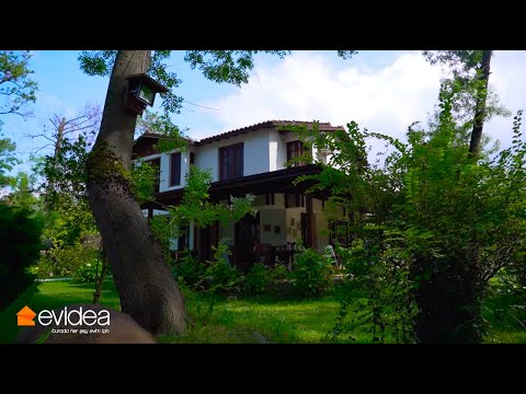 Hayat Dolu Evidea ile Hayat Dolu Evler - Evidea