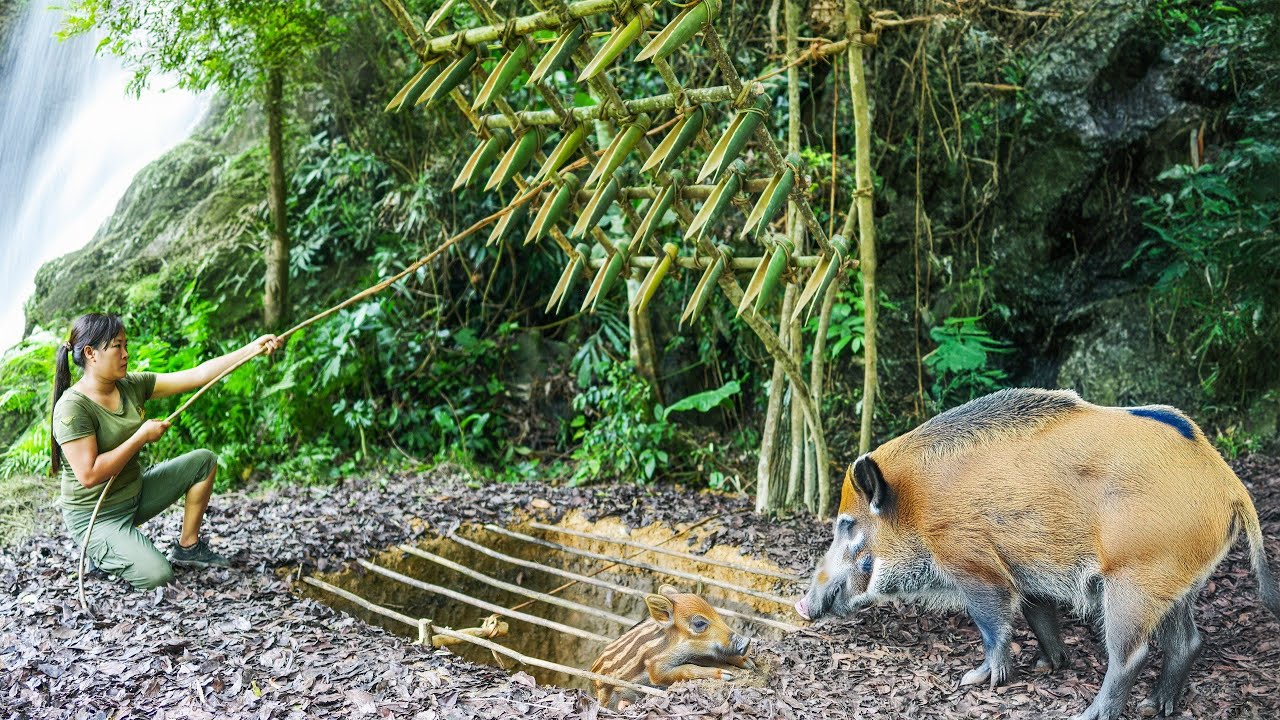 Giant Wild Boar Trap - The Power to Survive Spectacularly - Multi-day ...