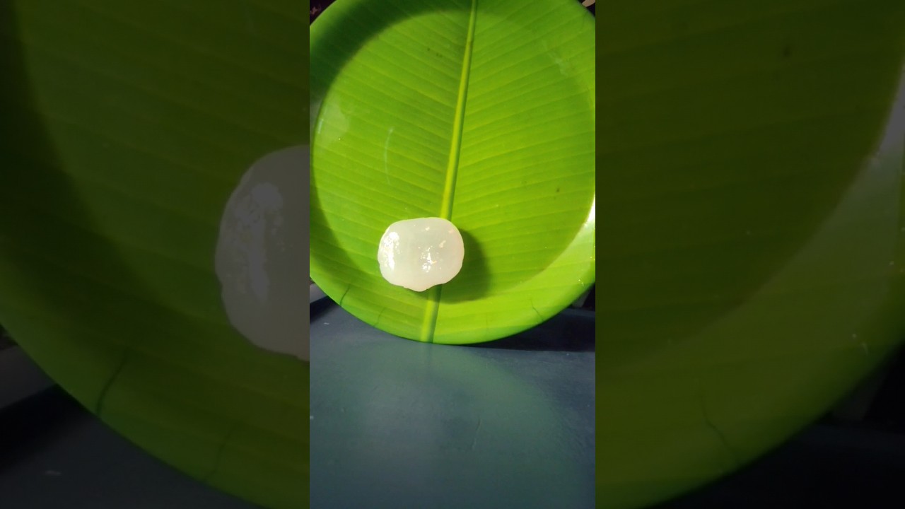 Thati munjulu or Ice Apple#villagefood #summerspecial #ytshorts # ...