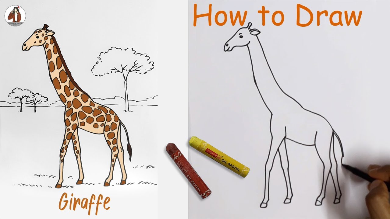 How To Draw a Giraffe Step by Step | Easy Oil pastel Color Giraffe ...