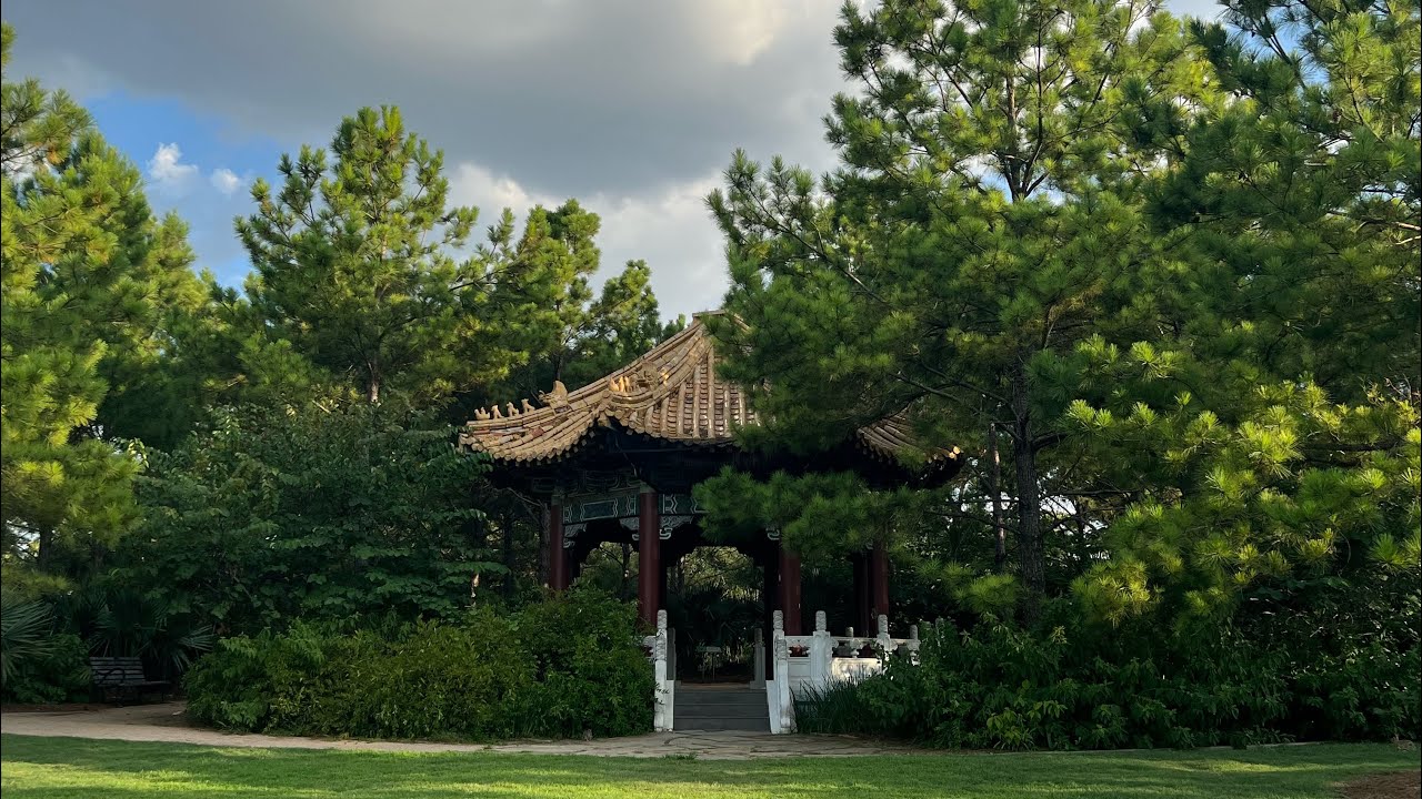 Must-see park in Houston + amazing Turkish food - YouTube