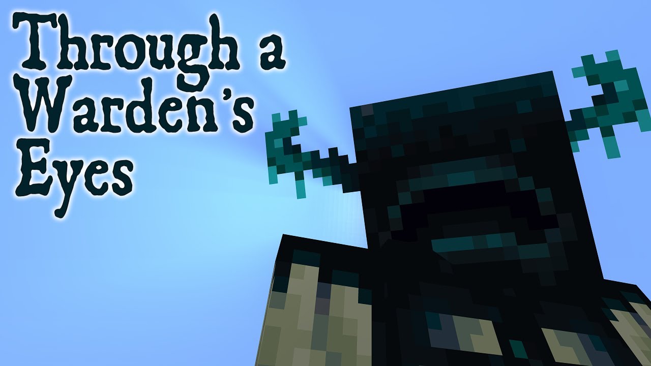 Seeing Through The Eyes of a Warden - YouTube